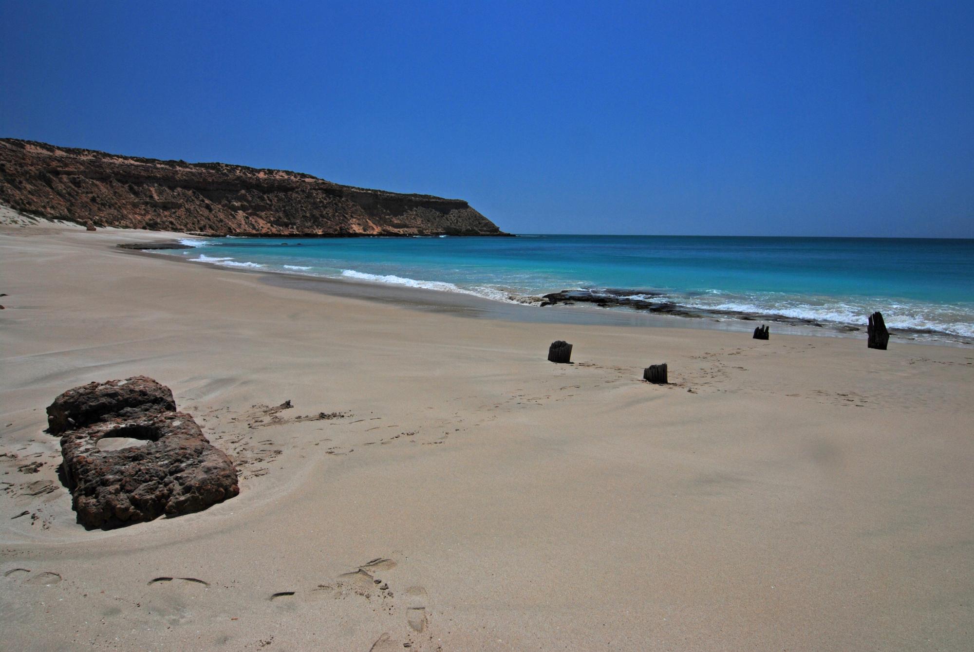 Dirk Hartog Island | Western Australian Museum
