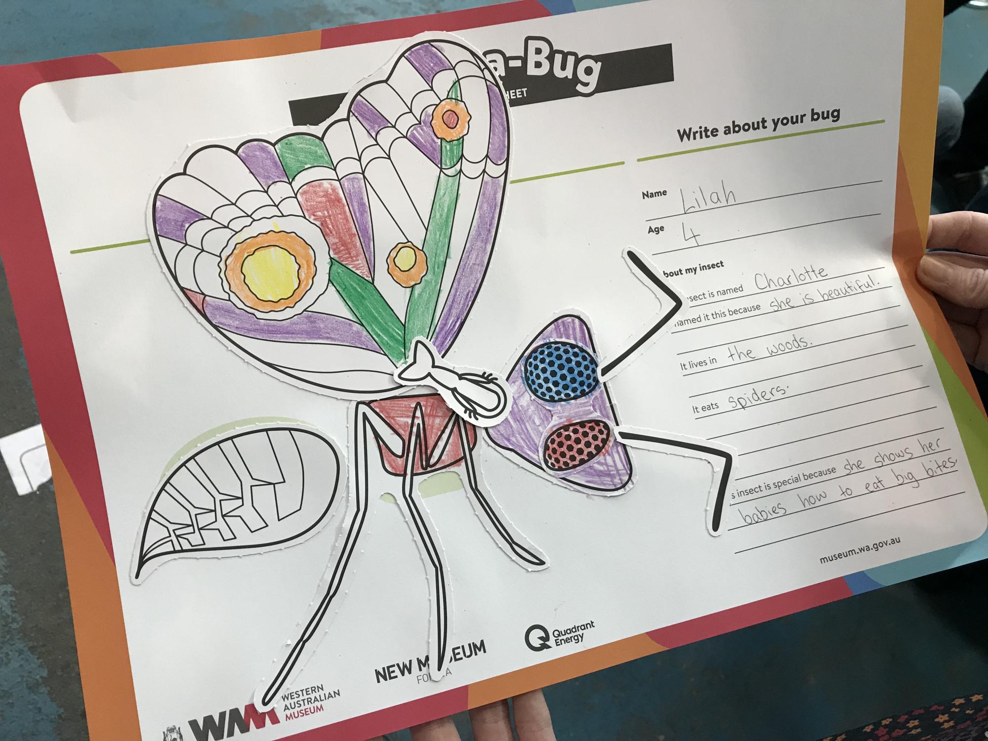 Build-a-Bug | Western Australian Museum
