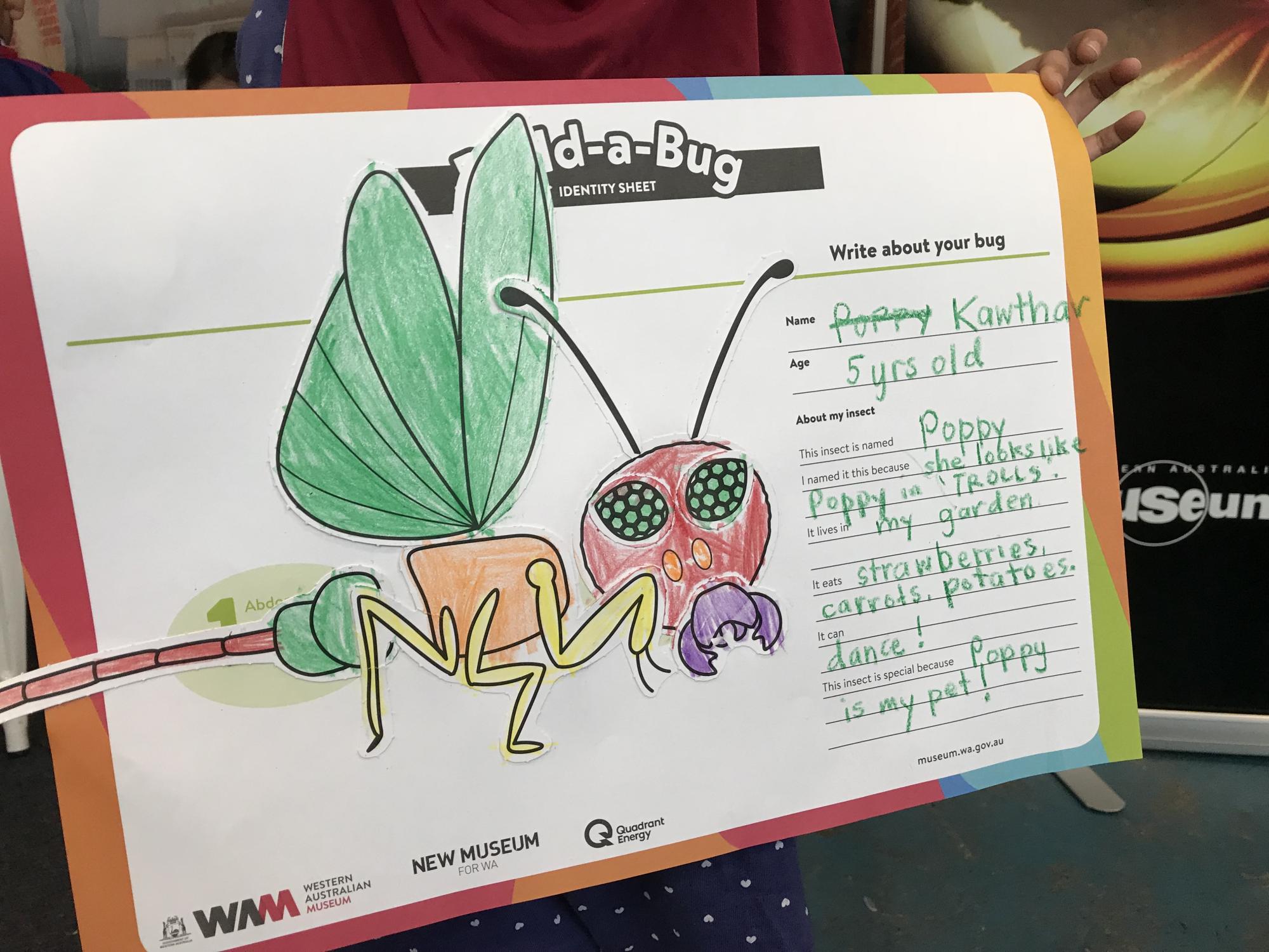 Build-a-Bug | Western Australian Museum