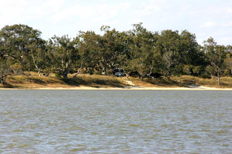 Jan Taylor's Dragonflies p136