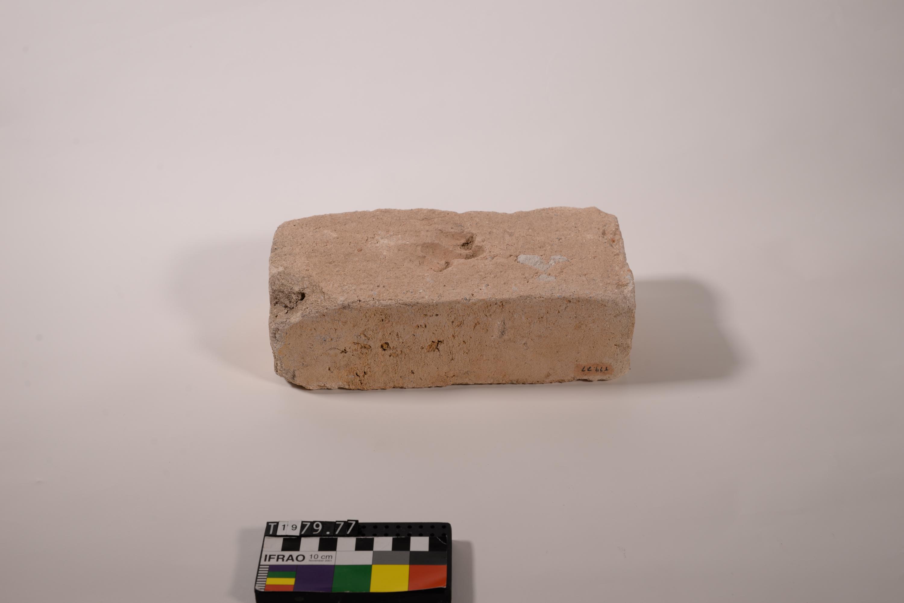 CONVICT BRICK, with finger marks, 1854 | WA Museum Collections