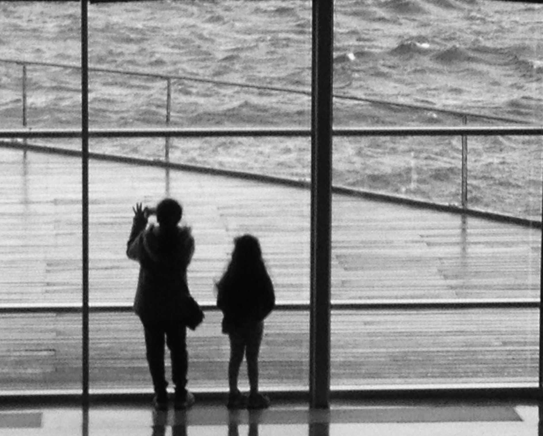 Out there | Western Australian Museum