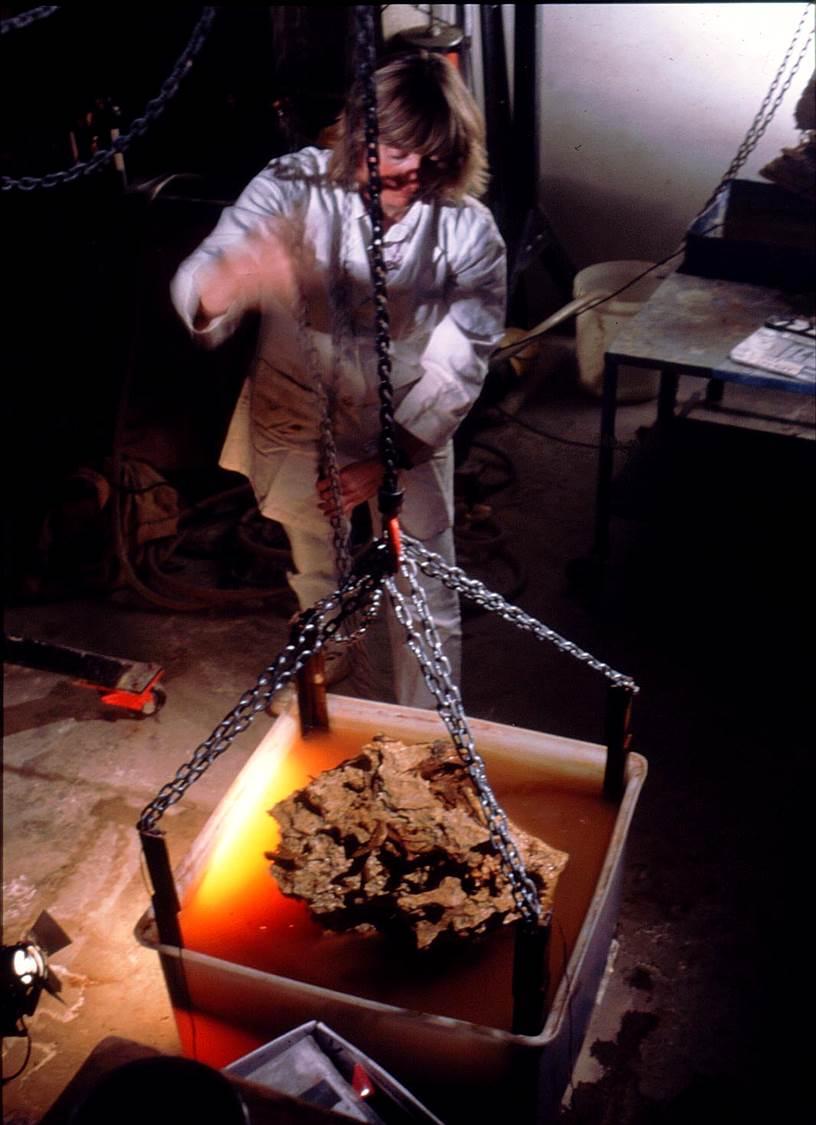 Kangaroo Evolution: New fossil discovery | Western Australian Museum