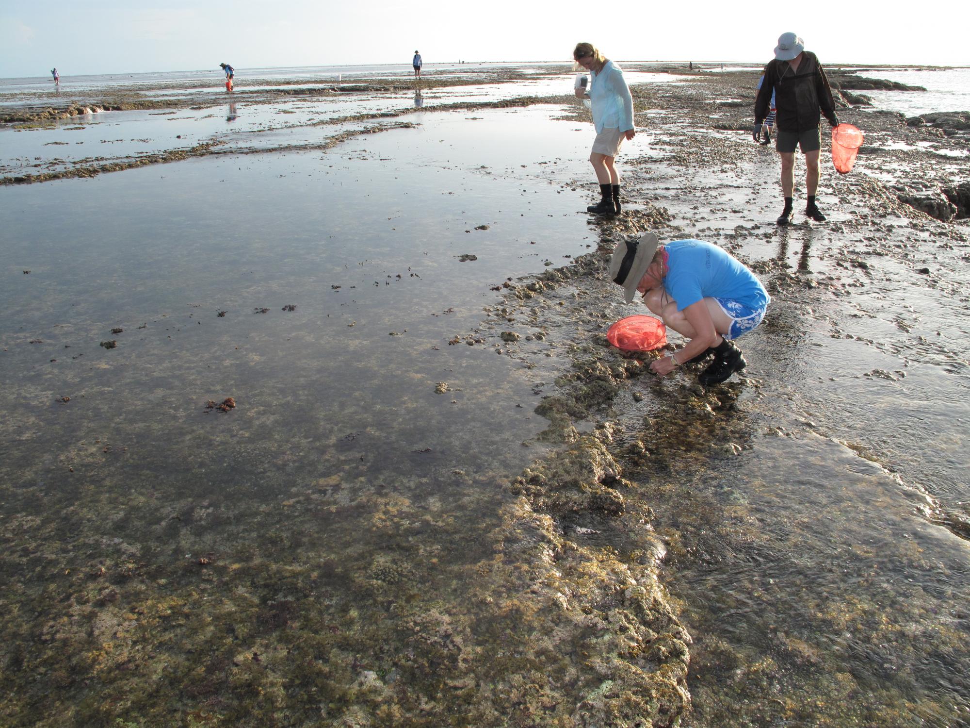 Aquatic Zoology Kimberley fieldtrips 2009-2012 | Western Australian Museum