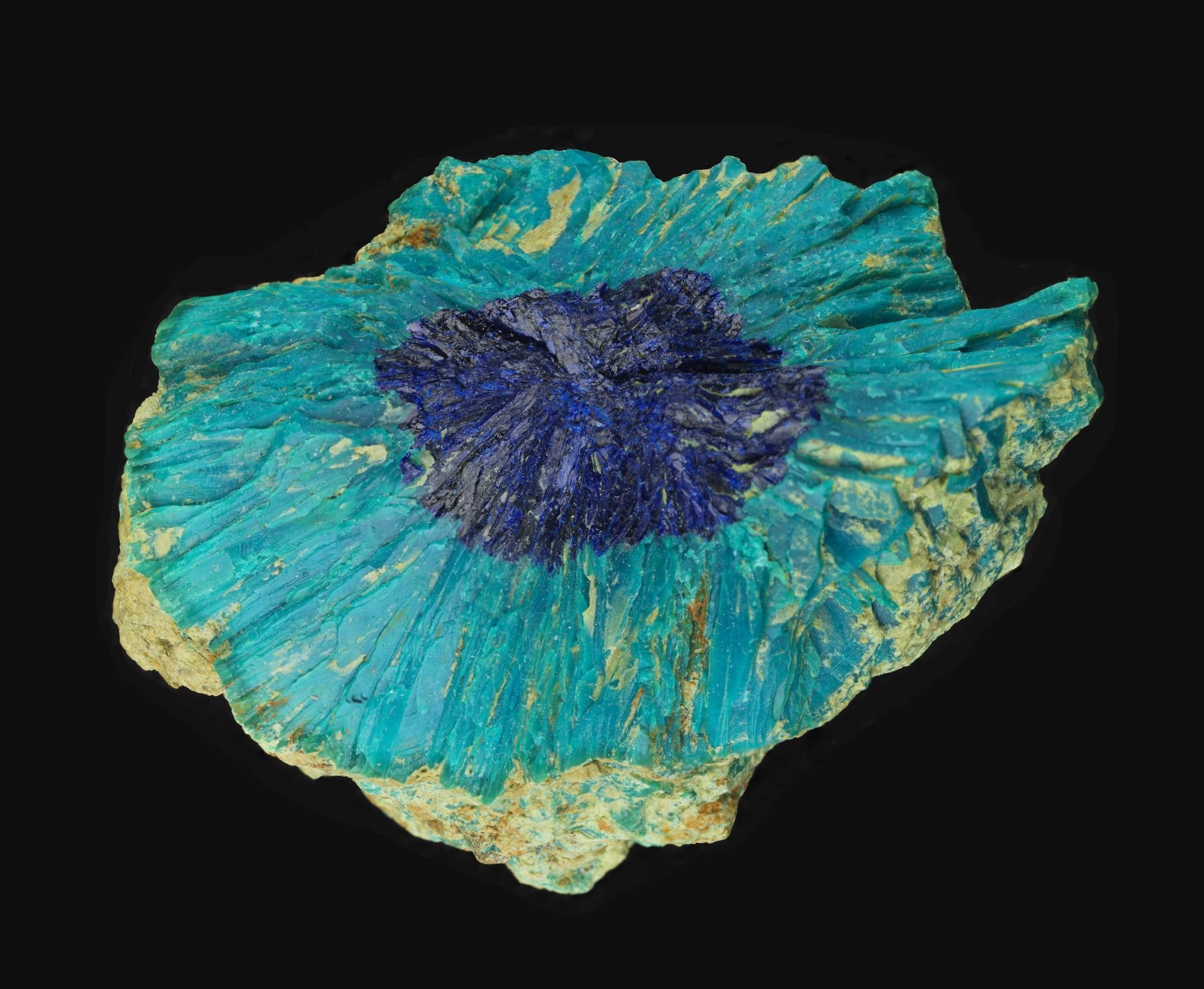 A behind-the-scenes look at our mineral collection | Western Australian ...