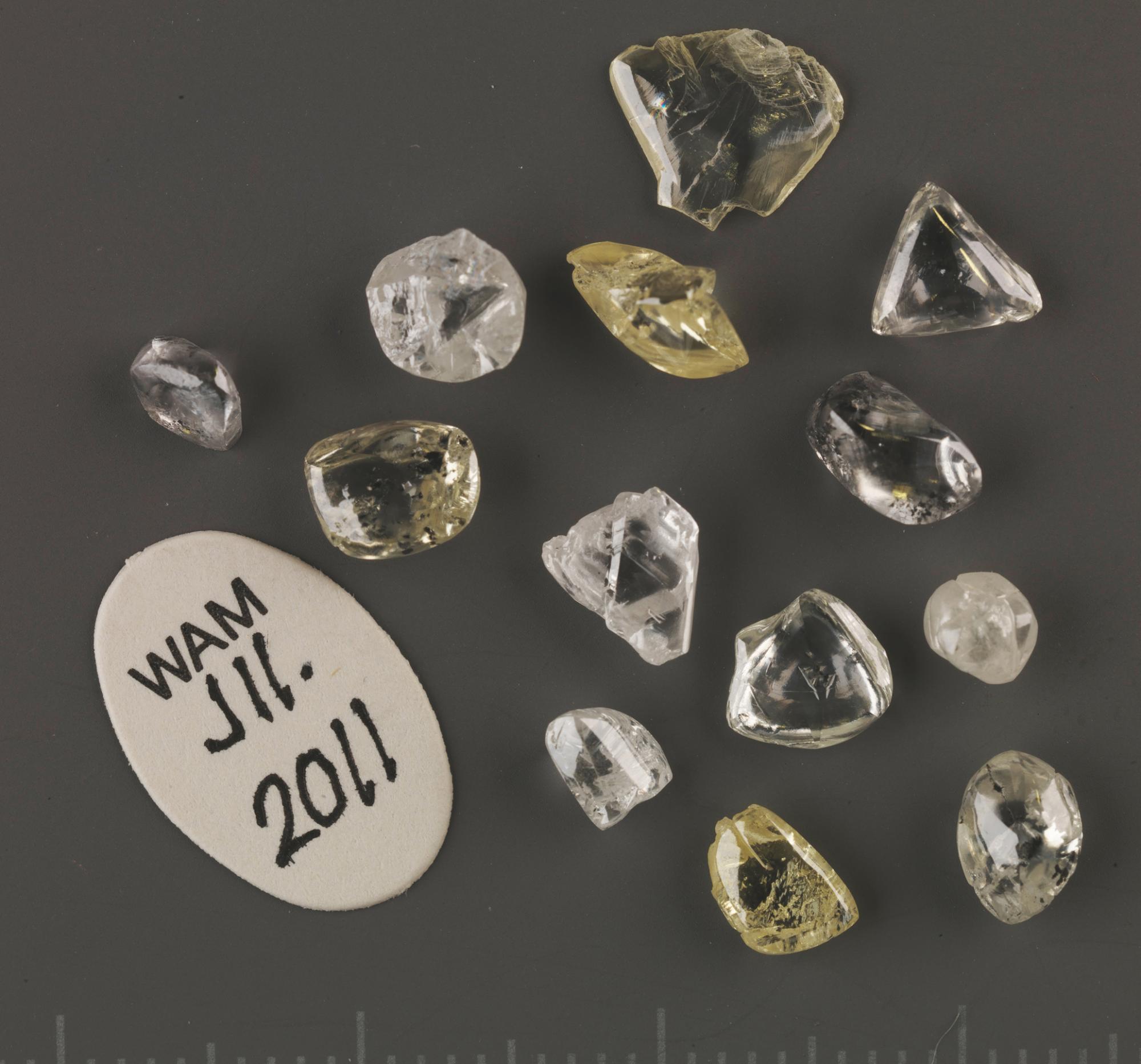 A behind-the-scenes look at our mineral collection | Western Australian ...