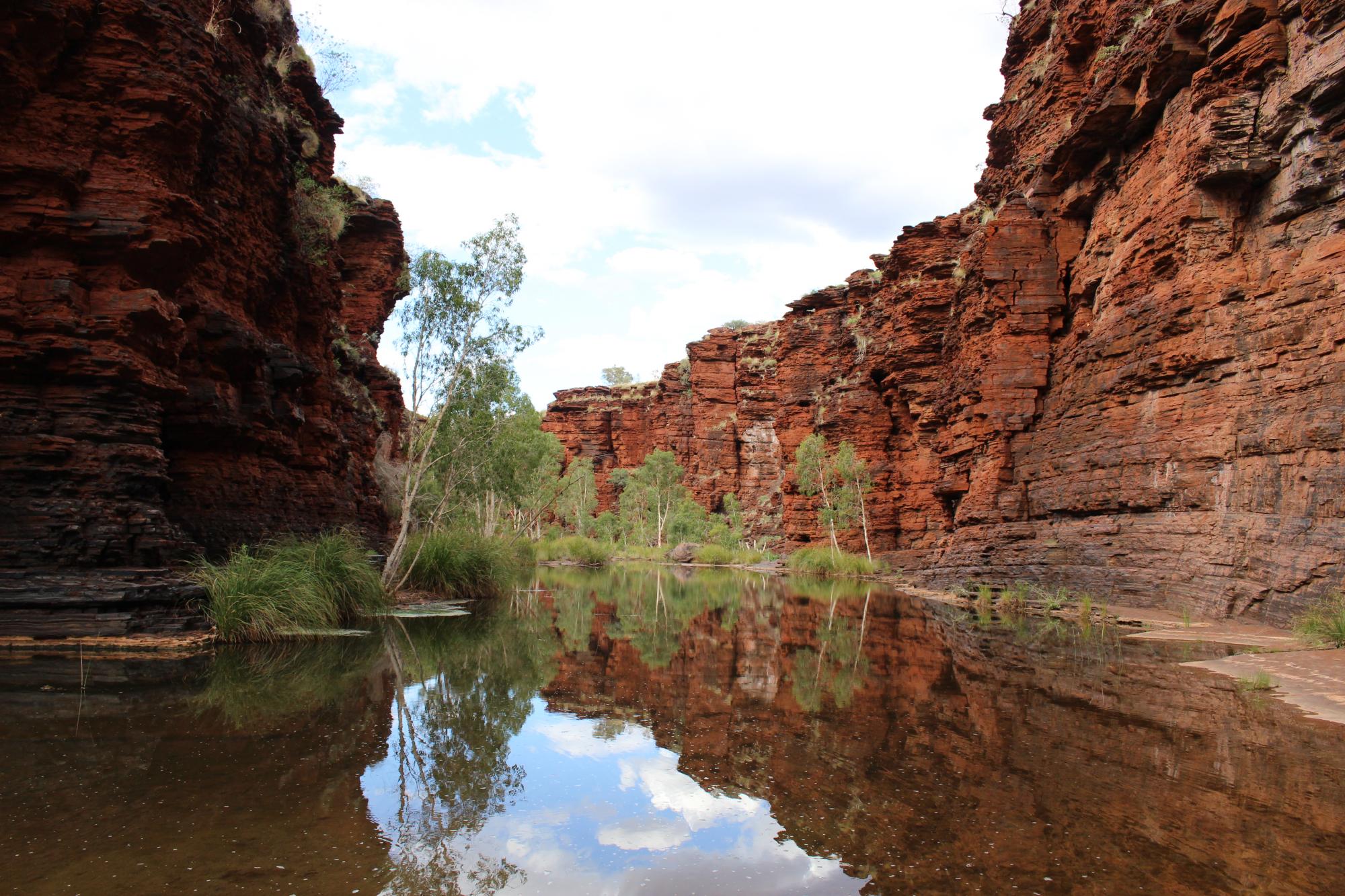 Wildlife of the Pilbara | Western Australian Museum