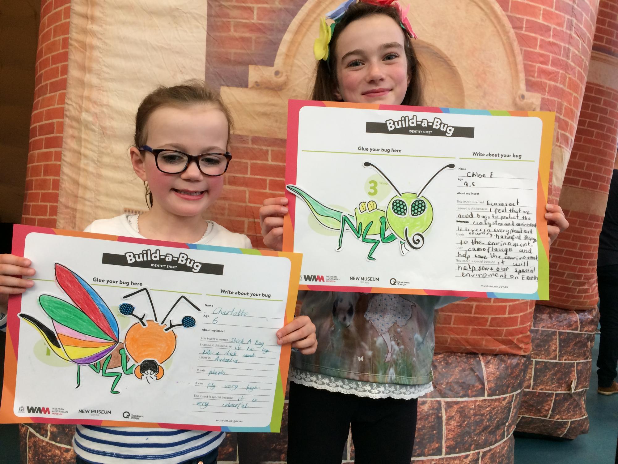 Build-a-Bug | Western Australian Museum