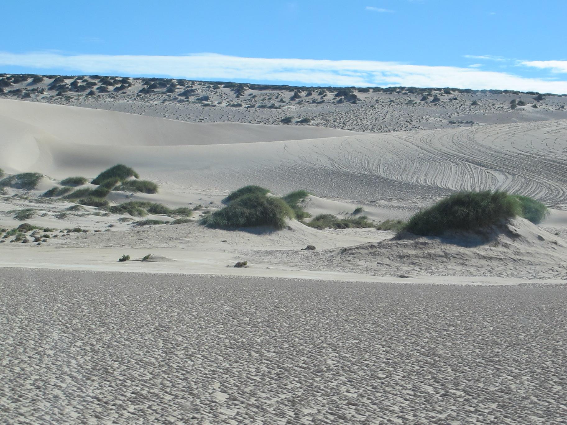 Dirk Hartog Island | Western Australian Museum