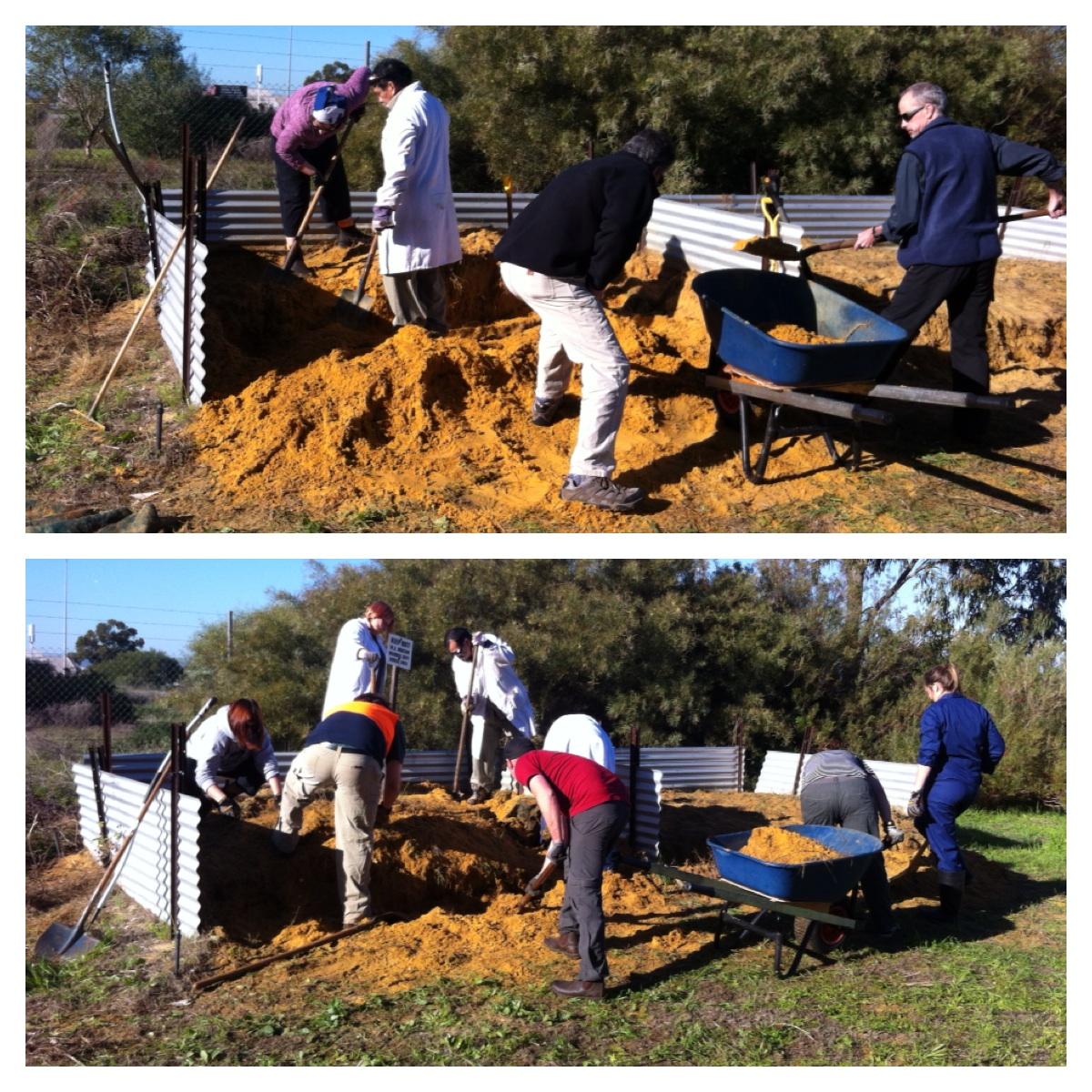 Bone Hunters at the Museum | Western Australian Museum