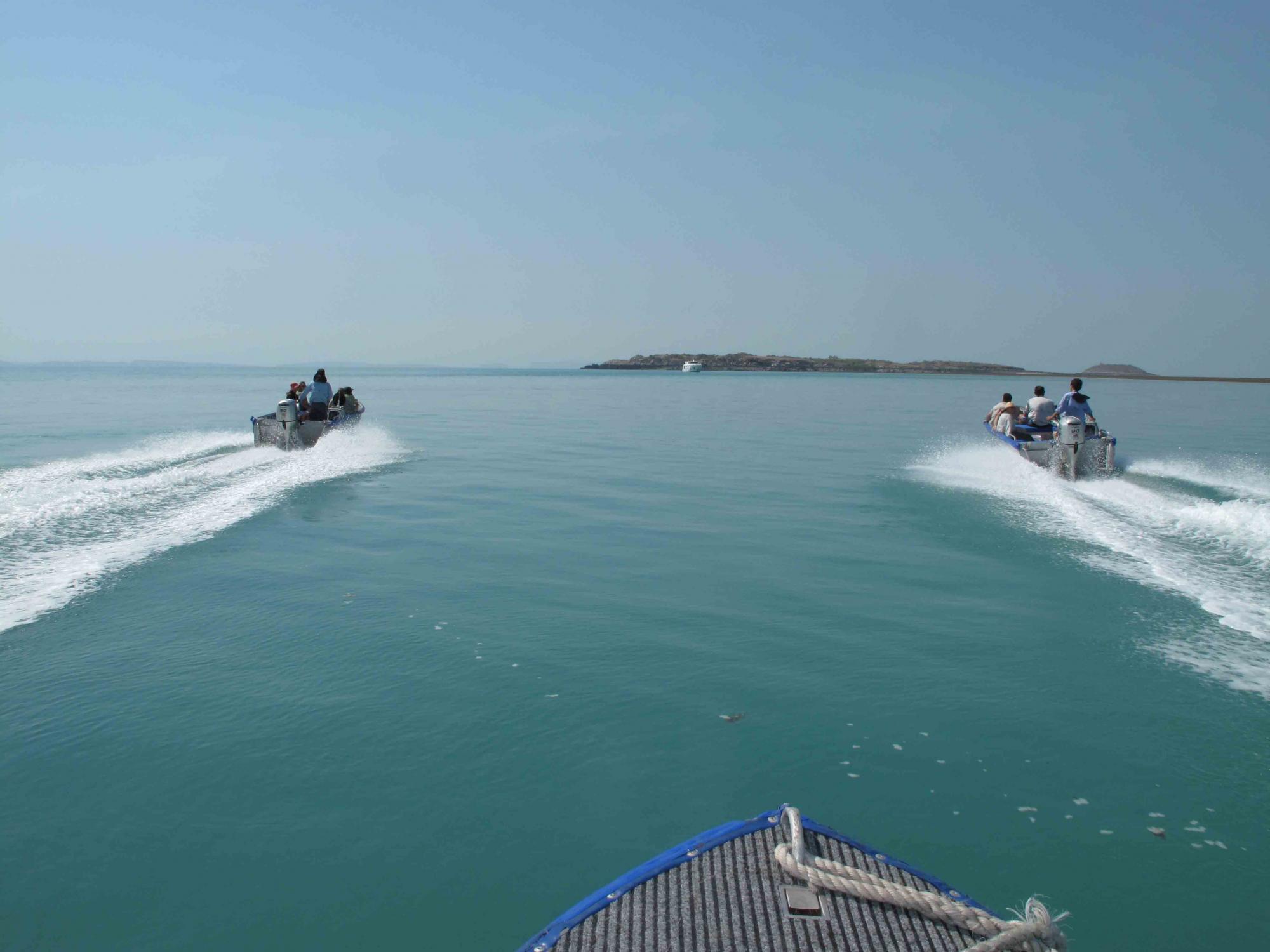Marine Life of the Kimberley Region - Montgomery Reef | Western ...