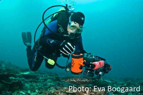 West Australian Underwater Photographic Society | Western Australian Museum