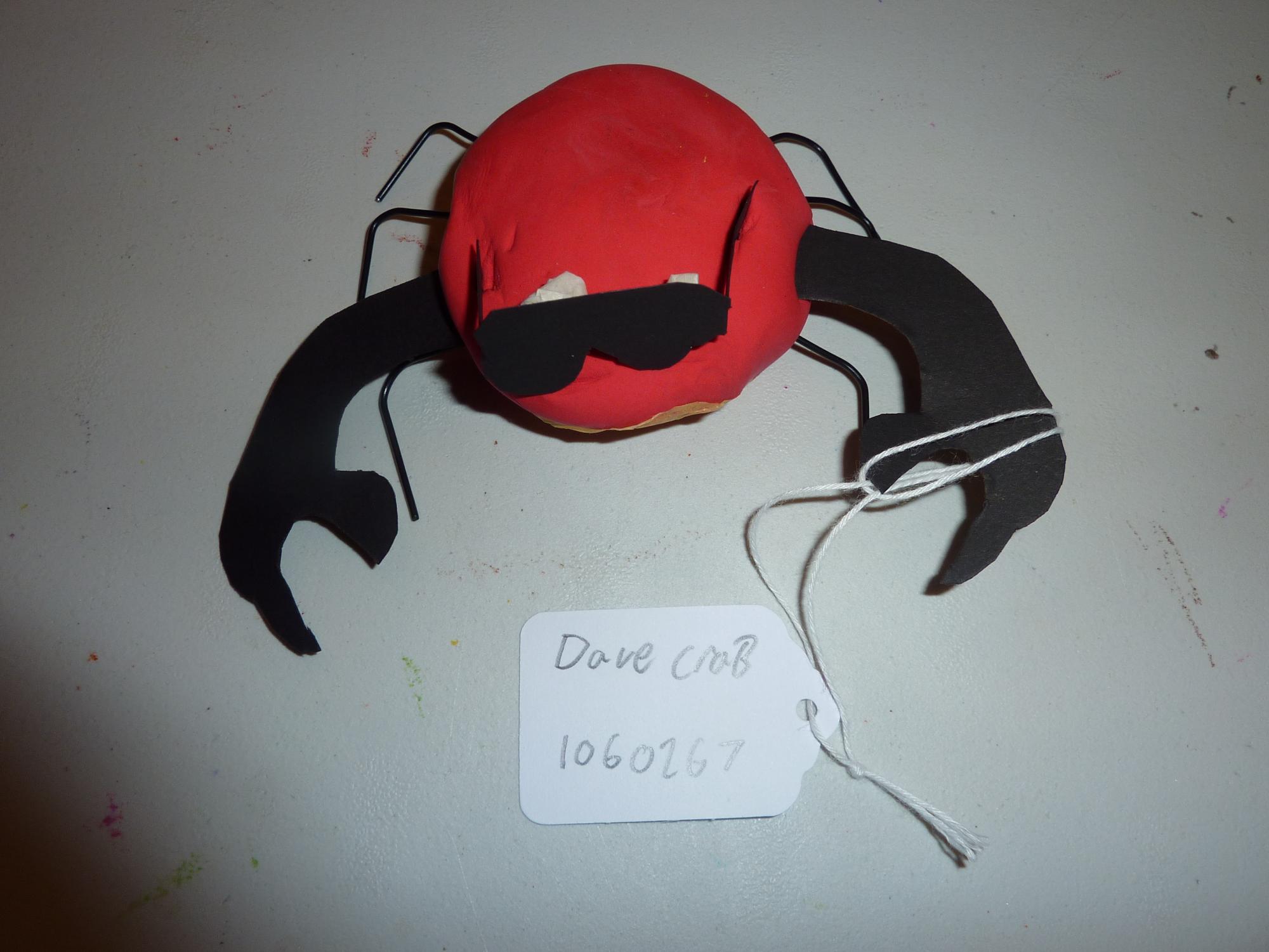 Create-A-Crab Workshop | Western Australian Museum