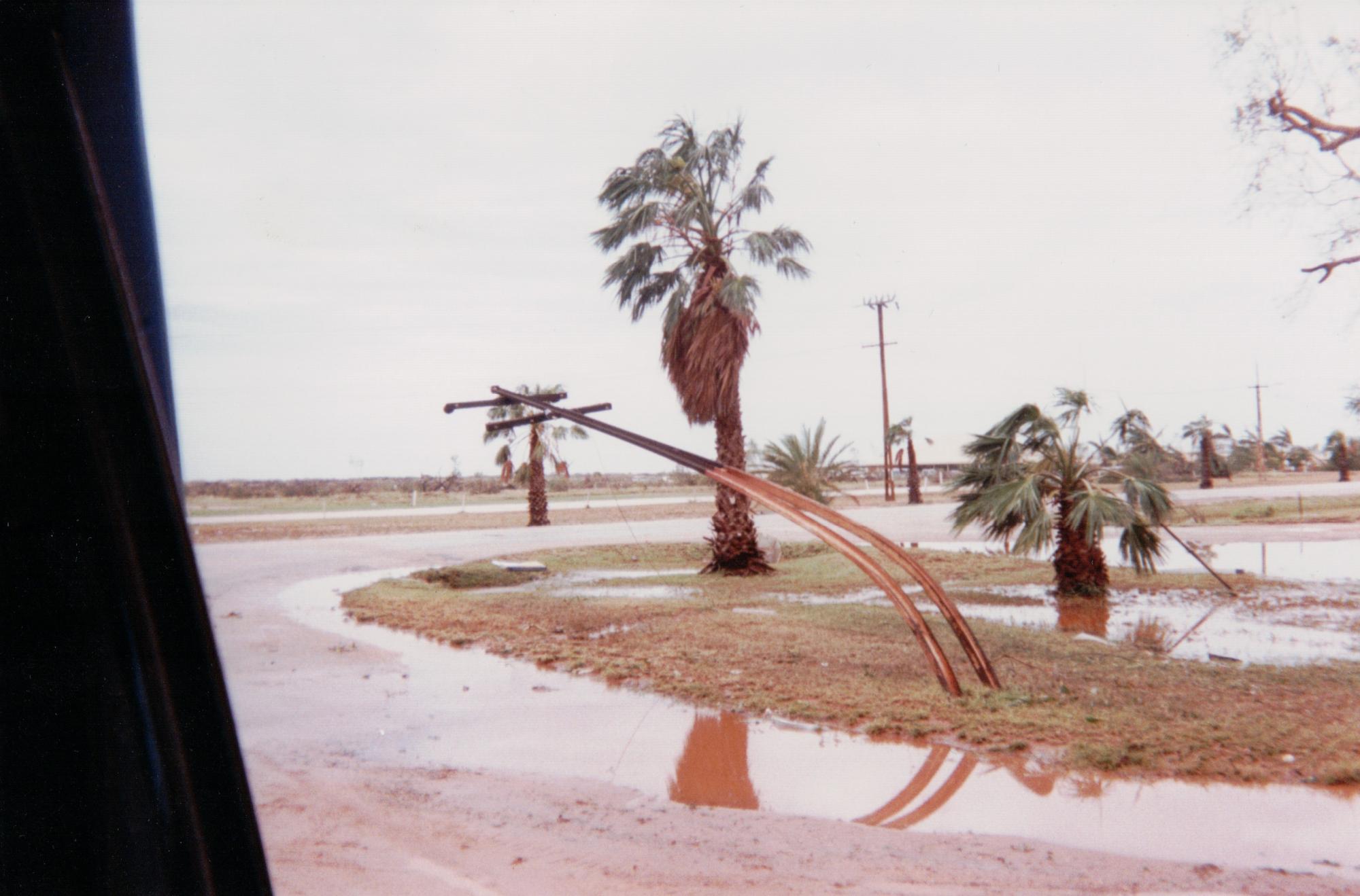 Cyclone Vance: Recovery from Cyclone Vance | Western Australian Museum