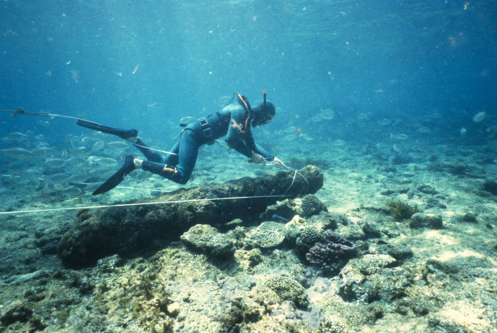 The Ships | Western Australian Museum
