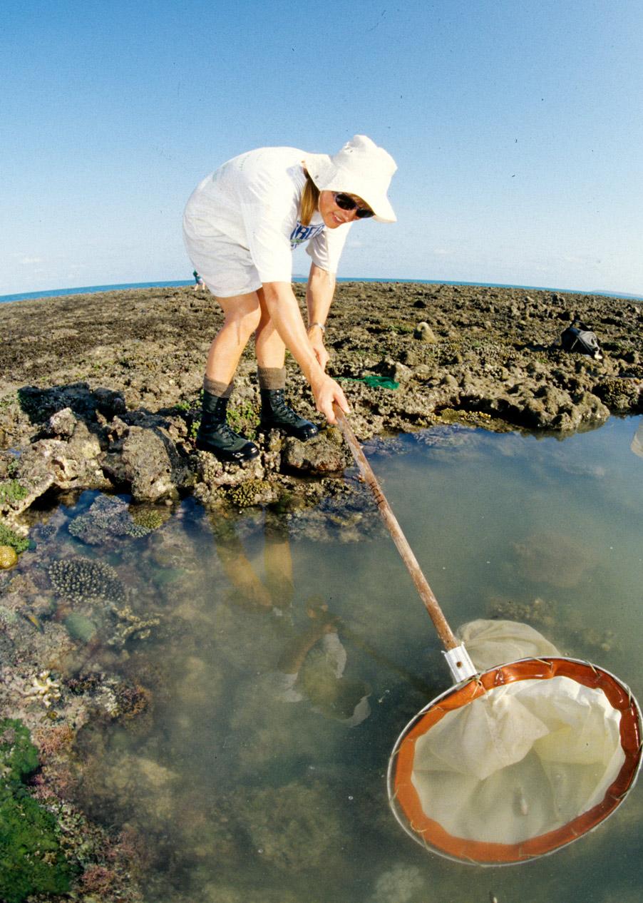 An introduction to Aquatic Zoology | Western Australian Museum