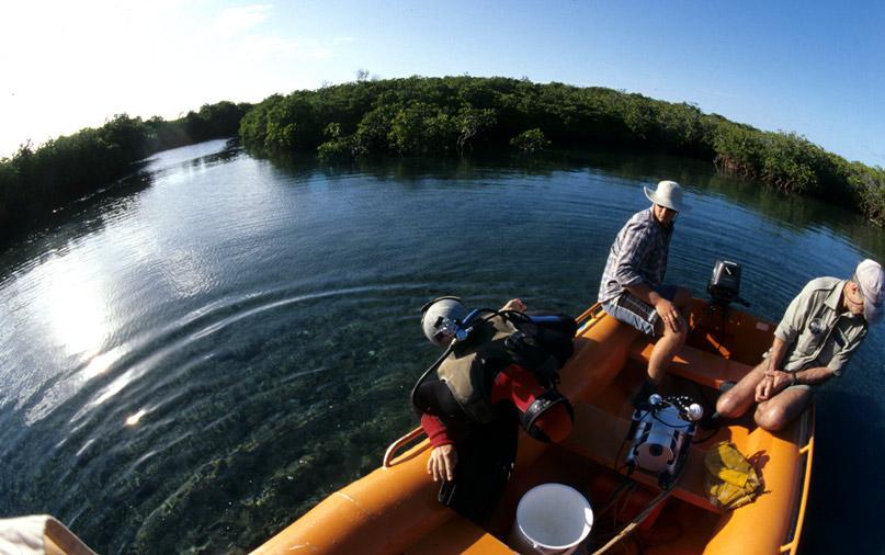 An introduction to Aquatic Zoology | Western Australian Museum