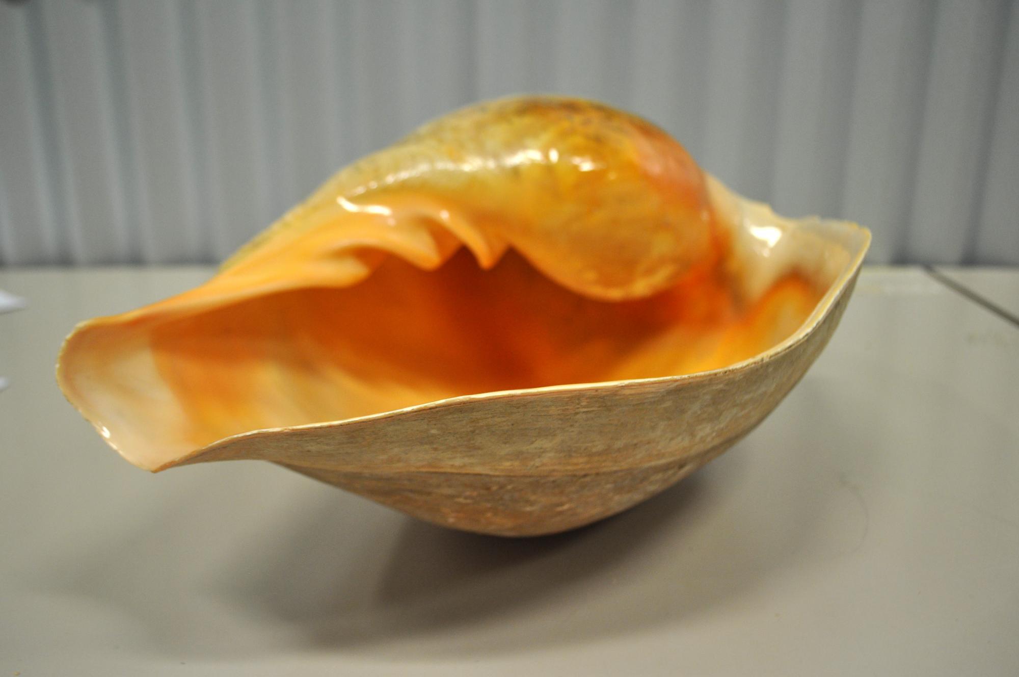 A behind-the-scenes look at our volute collection | Western Australian ...