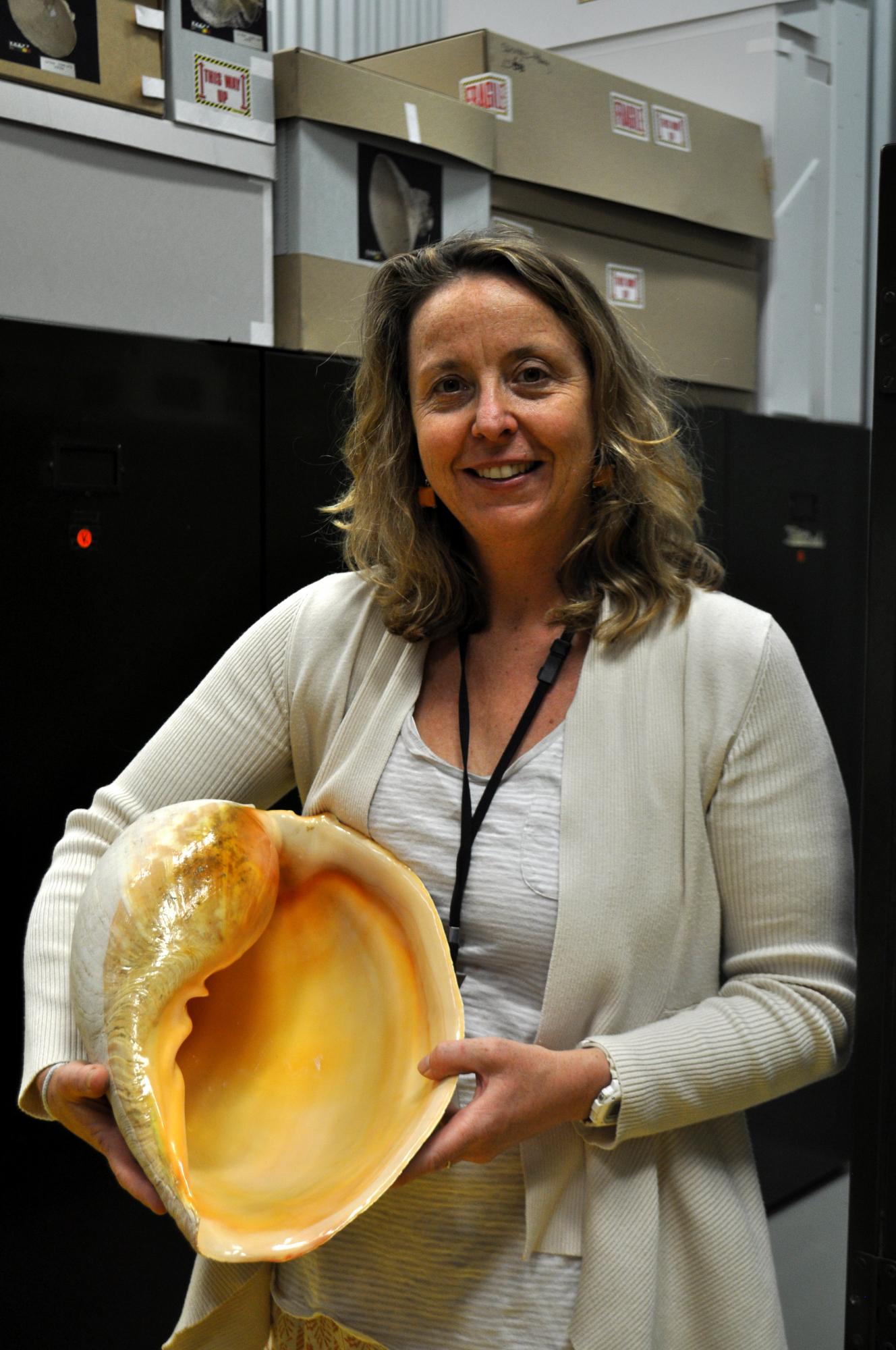 A behind-the-scenes look at our volute collection | Western Australian ...