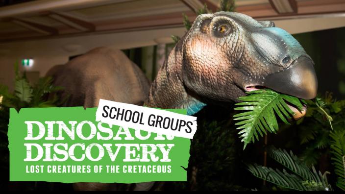Win an excursion to Dinosaur Discovery for your school class | Western ...