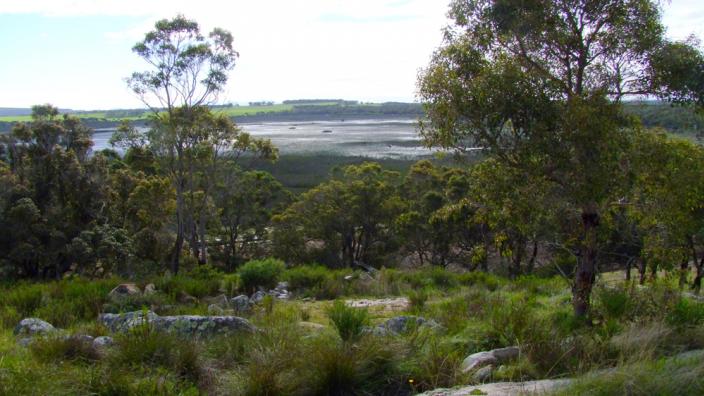 Heritage in Albany & Kalgan Hall Archaeology Update | Western ...