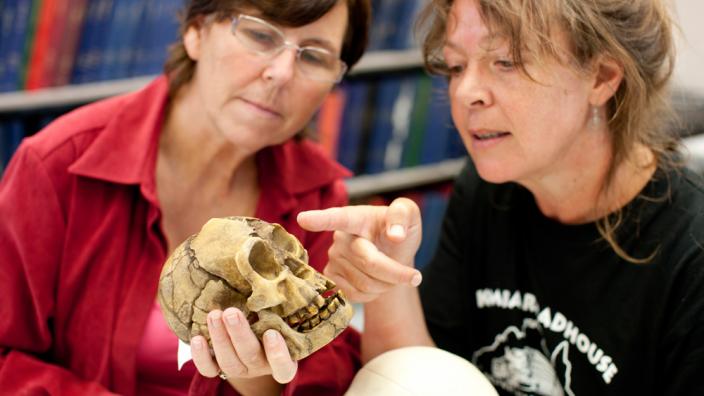 Unidentified Remains: Putting a Face to a Skull | Western Australian Museum