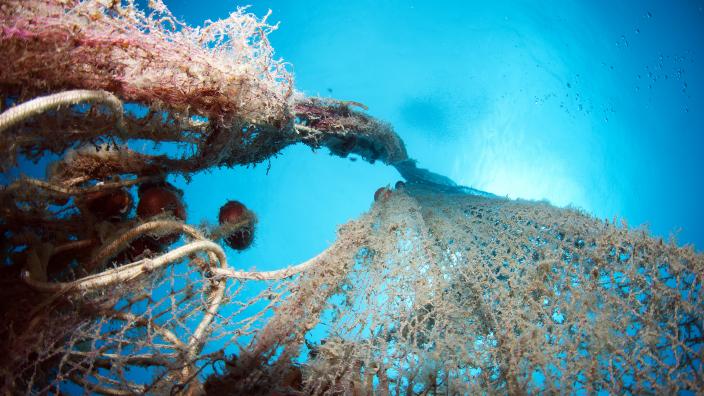Ghost Net Zone | Western Australian Museum
