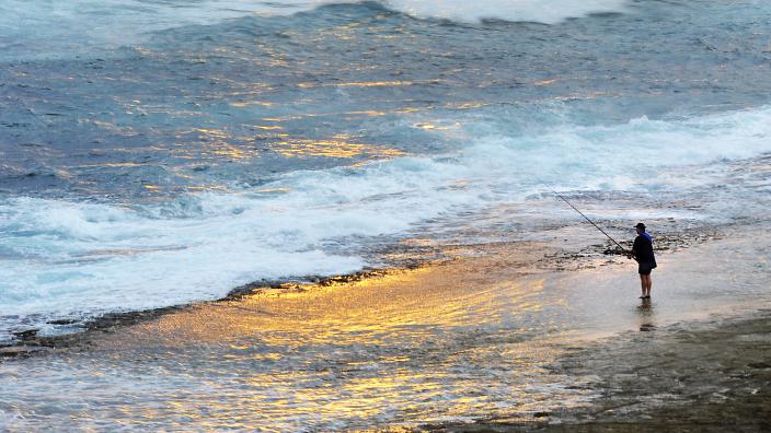 Our WA Coastline | Western Australian Museum