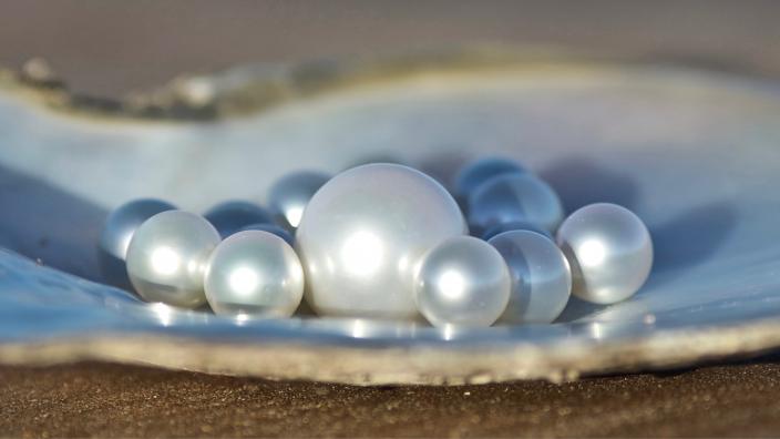 Perfect Pearls | Western Australian Museum