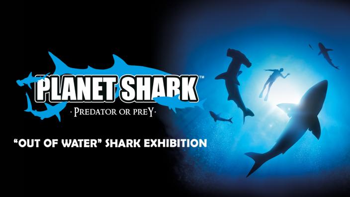Planet Shark: Predator or Prey | Western Australian Museum