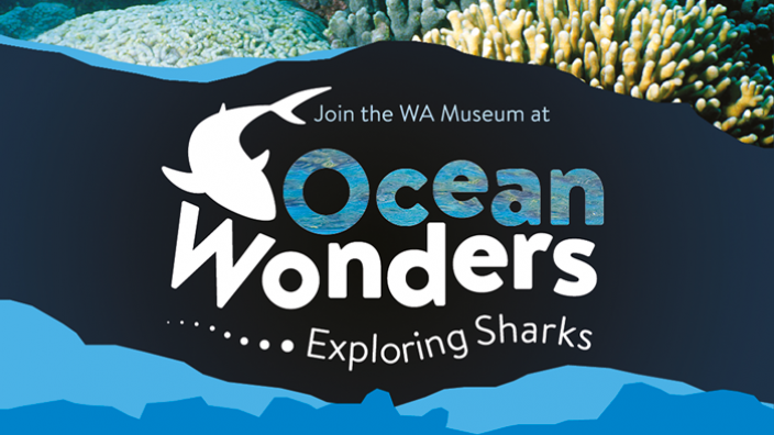 Ocean Wonders: Exploring Sharks | Western Australian Museum