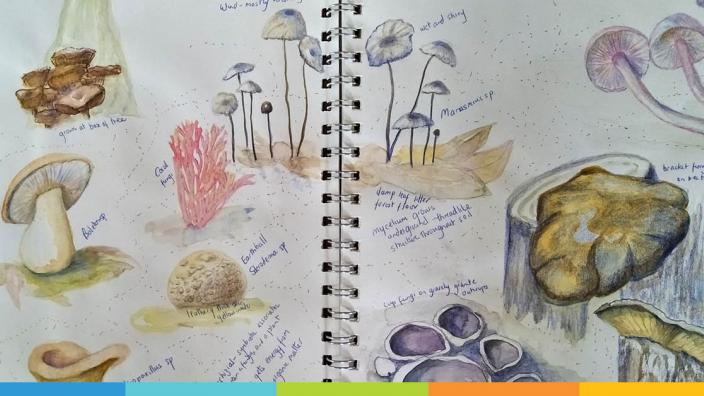 Nature Journals & Notebooks | Western Australian Museum