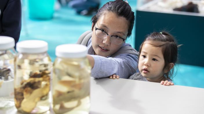 Ocean Wonders: Exploring Sharks | Western Australian Museum