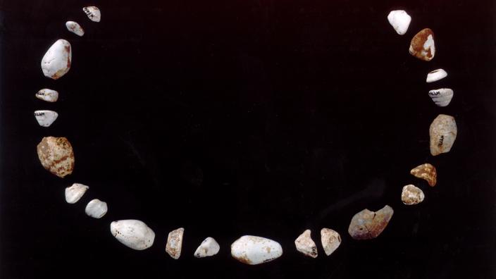 New Museum to celebrate WA on WA Day | Western Australian Museum