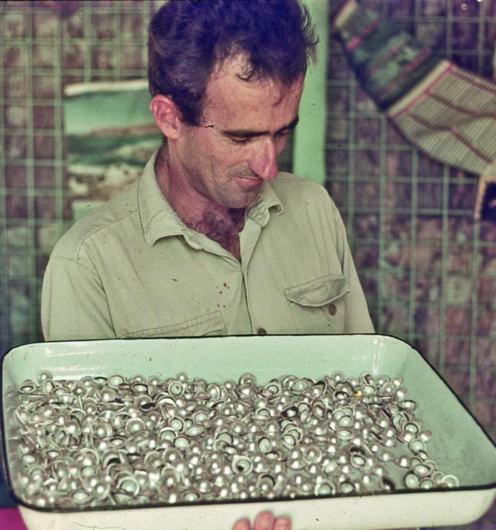 Growing Pearls | Western Australian Museum