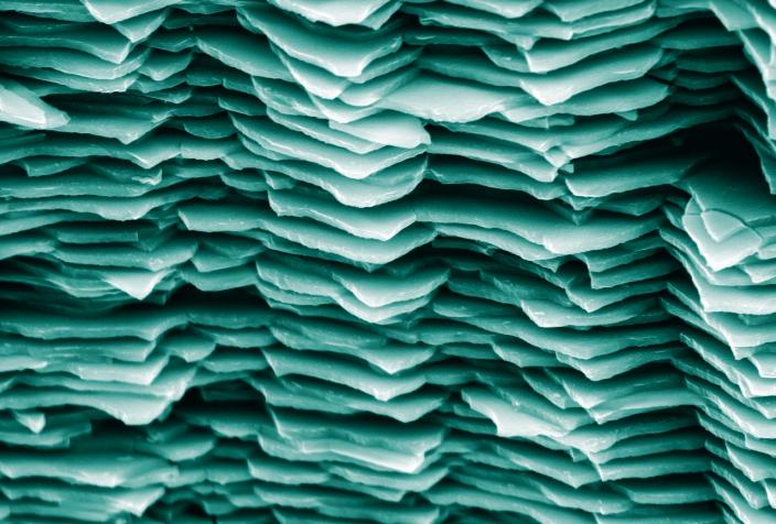 Pearling's Future | Western Australian Museum