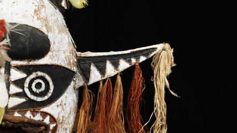 Museum's Blog | Western Australian Museum