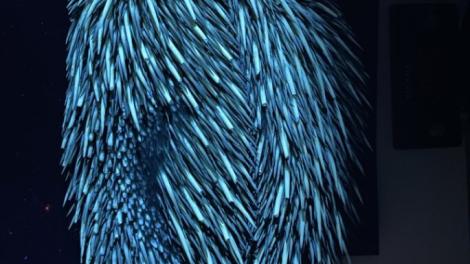 Researchers explore the phenomenon of fluorescence in mammals | Western ...
