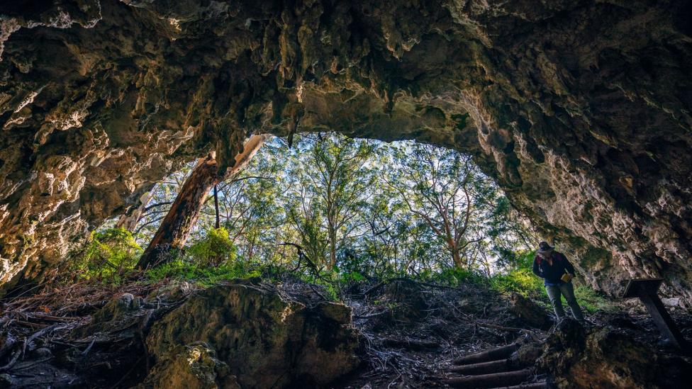Culture | Western Australian Museum