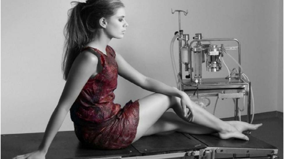 Can art become science or science become art? | Western Australian Museum