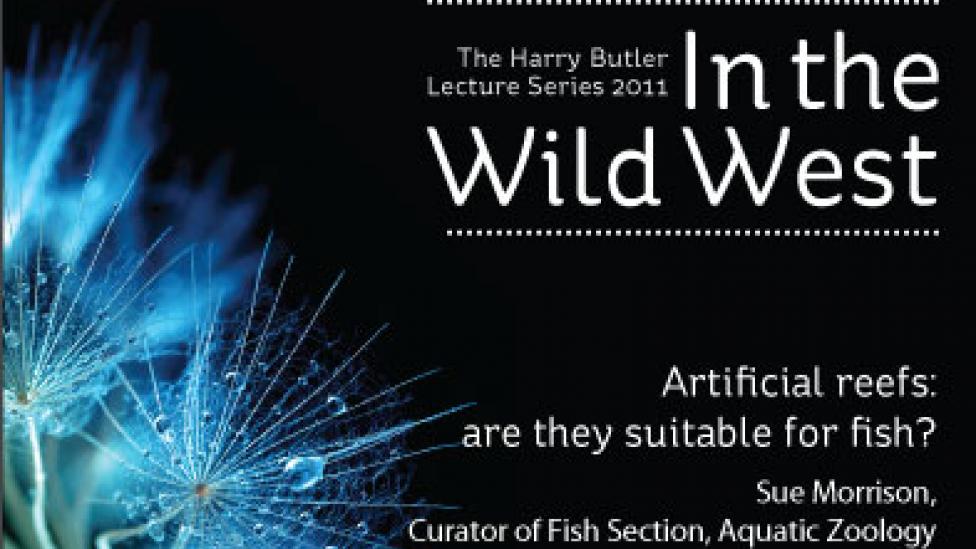 Artificial reefs: are they suitable for fish? - Albany | Western ...