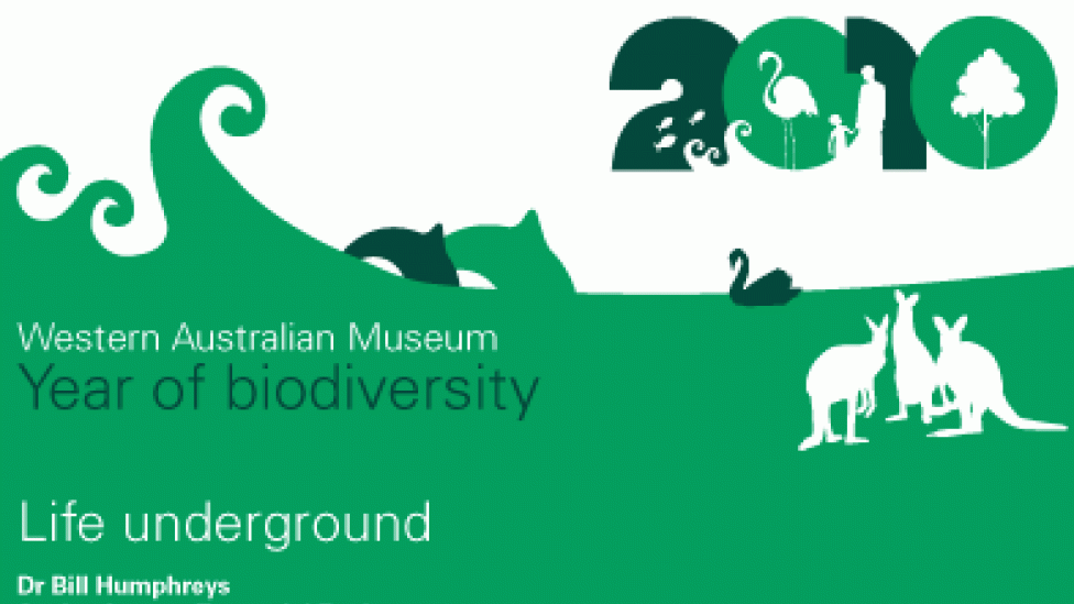 Life underground - Perth | Western Australian Museum