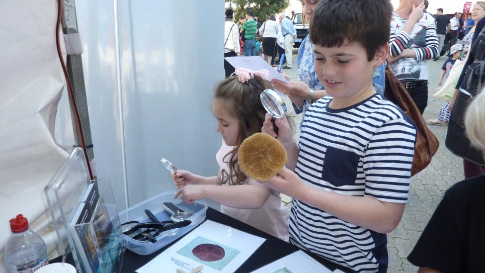 WA Museum at the Perth Science Festival 2015 | Western Australian Museum