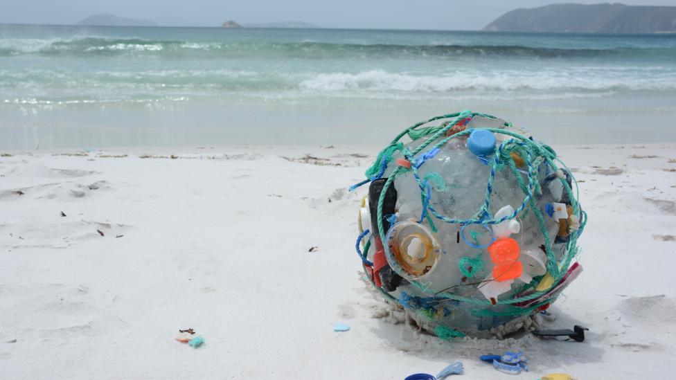 On the Beach | Western Australian Museum