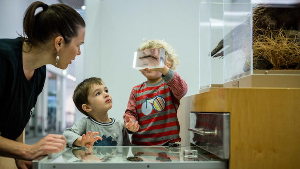 World's Biggest Playgroup Day 2019 | Western Australian Museum