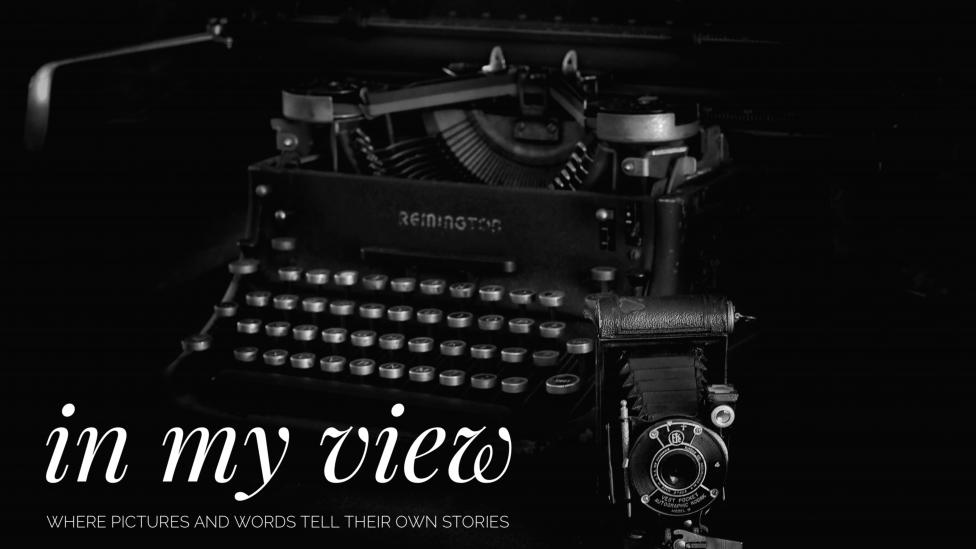 In My View | Western Australian Museum