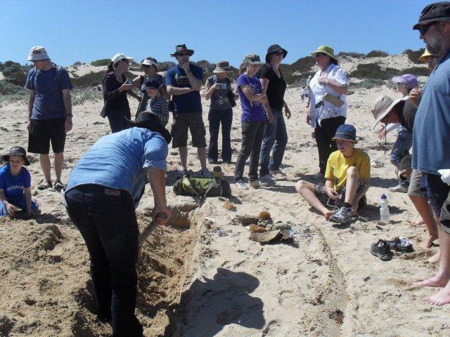 Fossil hunt with a WA Museum palaeontologist | Western Australian Museum