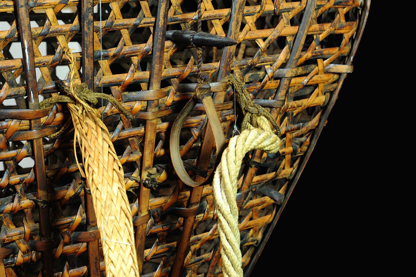 Intertwined | Western Australian Museum
